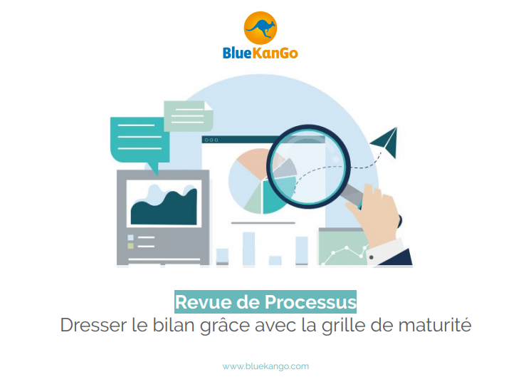 [Guide] Qualité : Revues de Processus / Grille de maturité